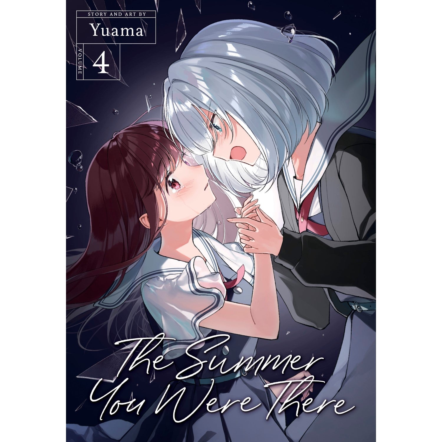 The Summer You Were There Vol. 4 | 9781685799595 | Ozzie Collectables