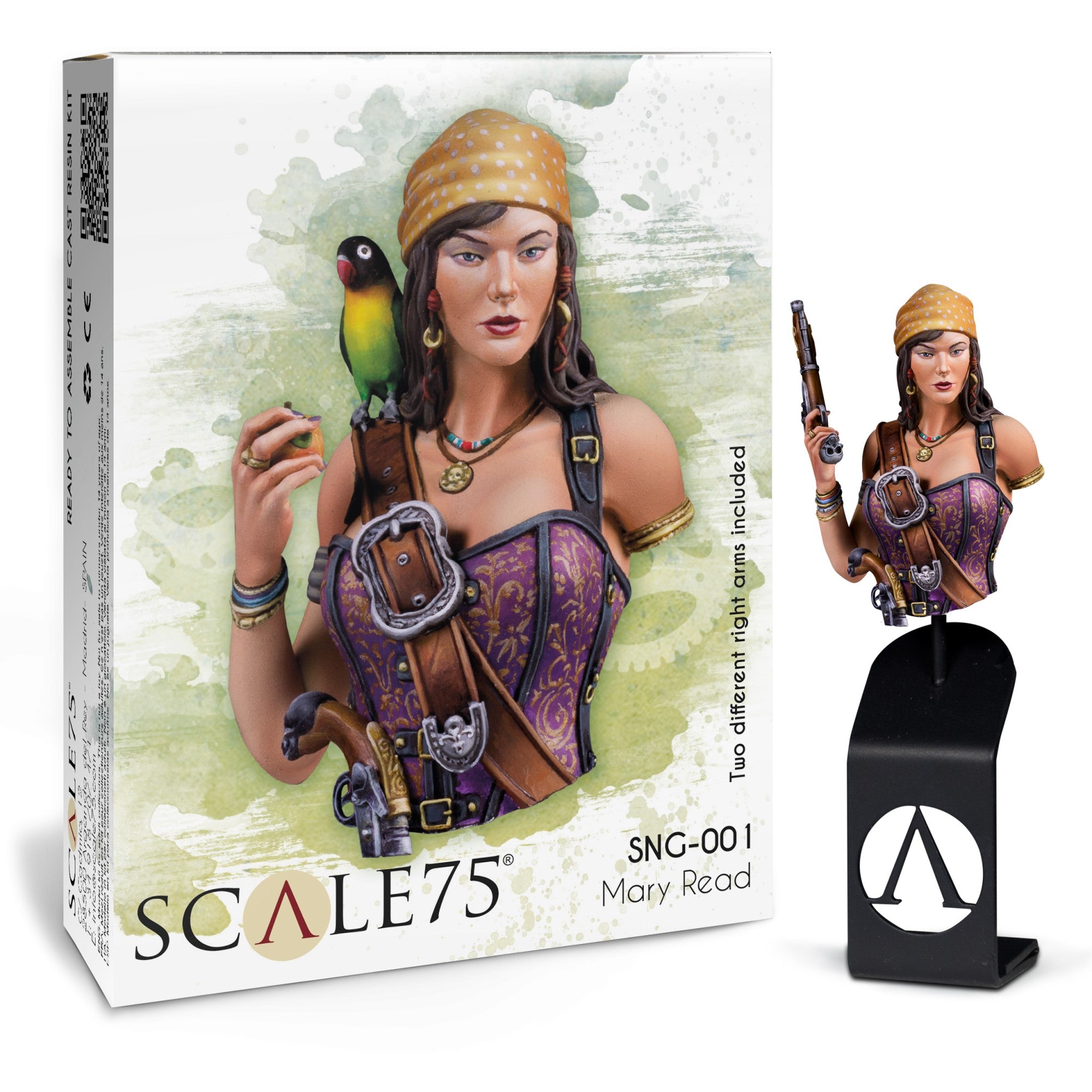Scale 75 - Busts - Naughty Gears - Mary Read 1:12 | SNG-001 | Ozzie ...